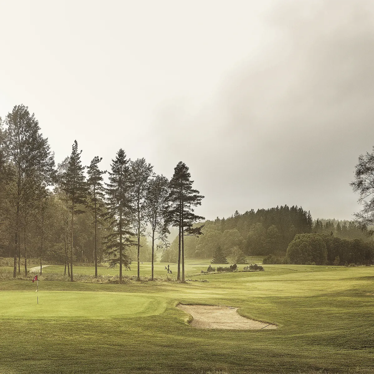 Inside a Tampa developer's plans for the 5,400-acre Two Rivers master ...