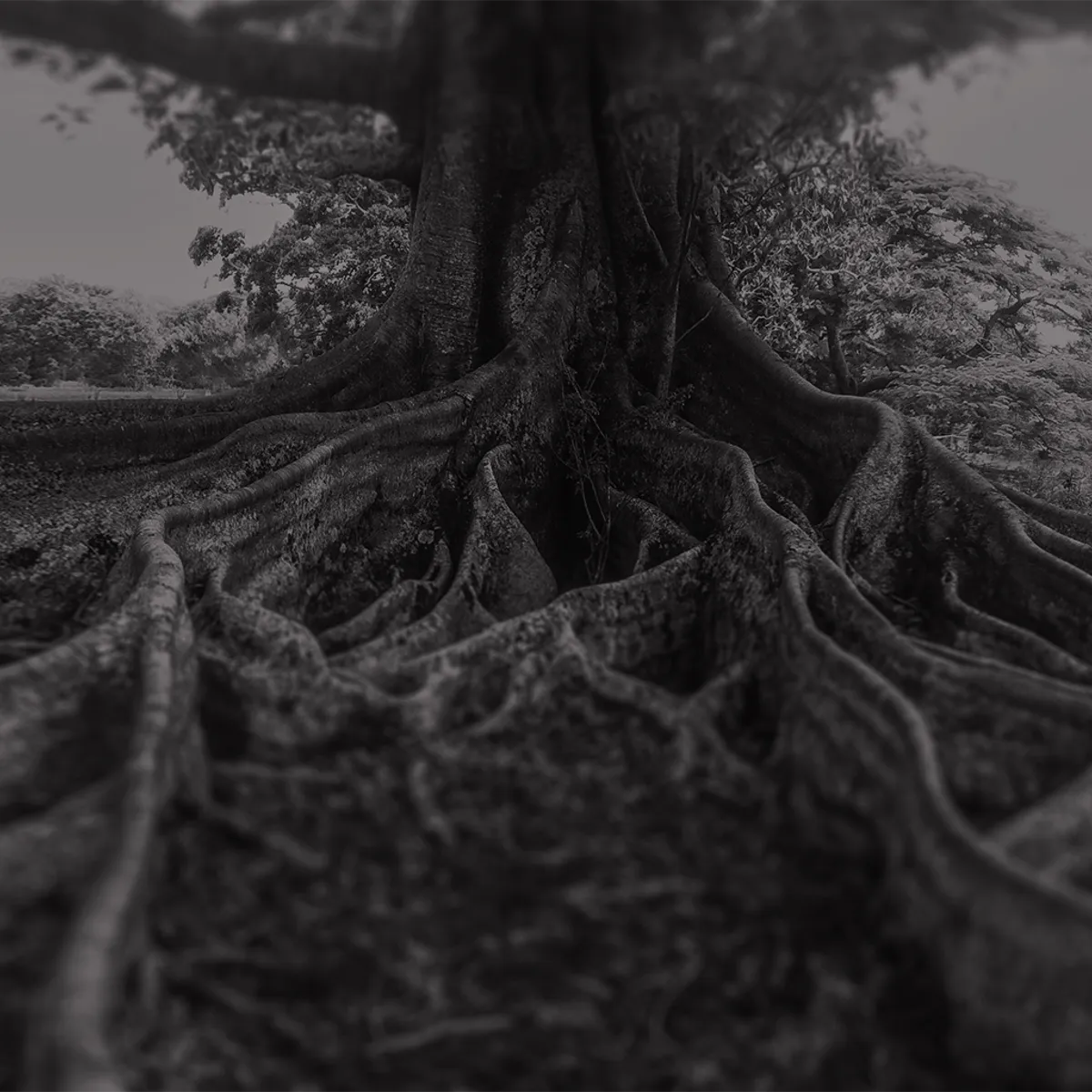 Plans and Details Evolve for Two Rivers - Two Rivers